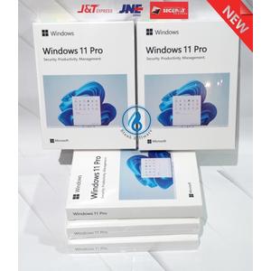 Jual Windows 11 Professional FPP USB Original Bisa Pindah PC Lifetime ...