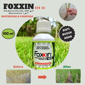 Jual FOXXIN - Netto 100ml Bakterisida Dan Fungisida Terbaik Pupuk Cair ...