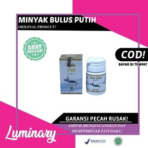 Jual BIO HERBAL MINYAK BULUS PUTIH ORIGINAL MASSAGE OIL PEMBESAR ...