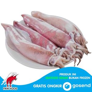 Jual BERKUALITAS Cumi Bangka Besar Segar Fresh 500gram - Jakarta Timur ...