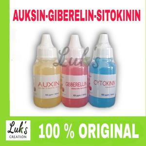 Jual HORMON TANAMAN AUKSIN GIBERELIN SITOKININ 30 ML - CYTOKININ - Kota ...