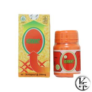 Jual VERMINT Original Kapsul Ekstrak Cacing Tanah Obat Tipes isi 30 ...
