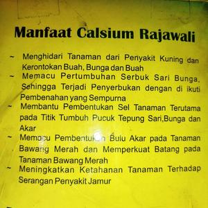 Jual CALSIUM RAJAWALI - Spesial Untuk Mencegah Daun Kuning, Bunga ...