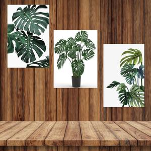 Jual Hiasan dinding tropikal ukuran jumbo | Hiasan dinding daun ...