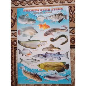 Jual READY POSTER EDUKASI ANAK BELAJAR MENGEJA ABC HURUF TEGAK ALAT ...