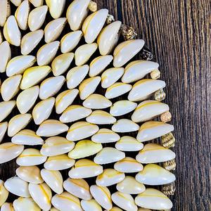 Jual Headway Natural Cowrie Shell Plamat Insulation Tabware Mats - Kota ...