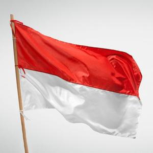 Jual New Bendera Merah Putih Ukuran 90x60cm Bendera 17 Agustusan ...