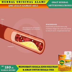 Jual Obat Herbal Arteriosklerosis. Obat Arteriosklerosis. Obat ...