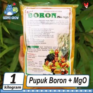 Jual Pupuk Boron plus MgO kemasan 1kg - Tanaman Tumbuh Optimal ...