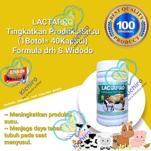 Jual Lactapro isi 40 Kapsul Vitamin Untuk Meningkatkan Produksi Susu ...