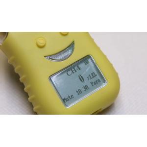 Jual ATEX CE Portable C2H4O Gas Ethylene Oxide Gas Detector - Jakarta ...