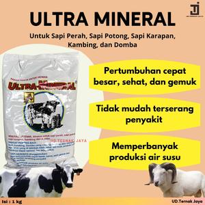 Jual ULTRA-MINERAL ULTRA MINERAL SAPI EFA FARMA 1 KG PREMIX PAKAN ...