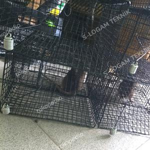 Jual Kurungan Tikus Jebakan Tikus Masal Perangkap Tikus Kawat Hitam ...