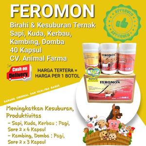 Jual Feromon isi 40 Kapsul CV. Animal Farma Meningkatkan / Peningkat ...