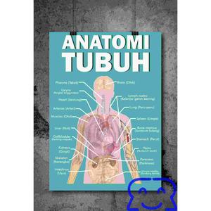 Jual 9 macam poster anatomi tubuh manusia AP A3+ 260 gram - Kota ...