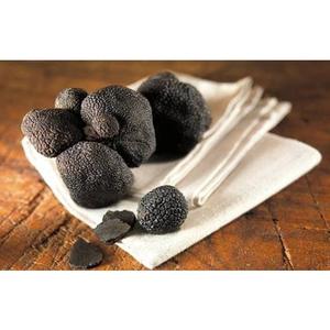 Jual Fresh Frozen Himalayan Truffle Mushroom 50gr Jamur Hitam Truffle ...
