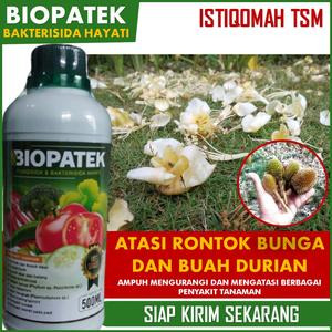 Jual BIOPATEK isi 500 ML Atasi Rontok Buah dan Bunga Durian Terbaikv ...