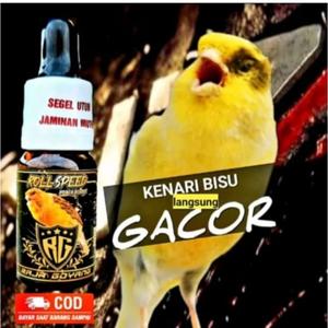 Jual RG roll speed raja goyang vitamin kenari jenis apa aja vit canary ...