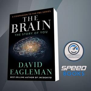 Jual The Brain: The Story of You David Eagleman - Jakarta Timur ...