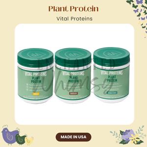 Promo Vital Proteins Vegan Protein Powder plant based with probiotics ...