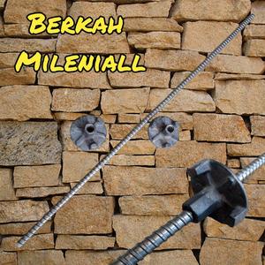 Jual Tie rod bekisting begisting 16 mm SNI set wing nut bahan baja ...
