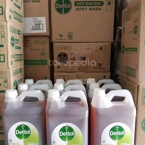 Jual dettol antiseptic 5 liter - free spray mop - Jakarta Utara ...
