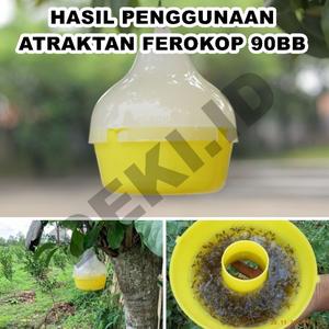 Jual Ferokop 90 BB Pengendali Hama Lalat Buah Tanaman Perangkap ...