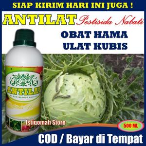 Jual ANTILAT Insektisida Pestisida Organik Obat Hama Pembasmi Ulat ...