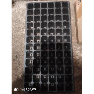 Jual Tray Poy Pot Tray Tray Semai 72 105 128 162 200 - 72 - Kab ...
