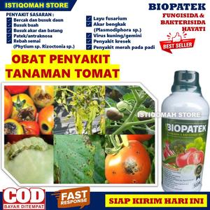 Jual BIOPATEK 500ML Fungisida dan Bakterisida Hayati Obat Penyakit ...