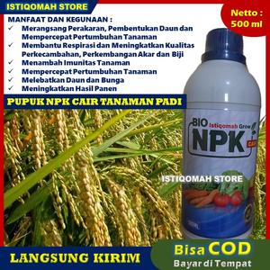 Jual Pupuk Pelebat Buah Tanaman Padi Berisi Berbobot ISTIQOMAH GROW 500ML Pupuk NPK Cair untuk ...