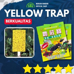 Jual Yellow Trap Perangkap Lalat Buah Perangkap Serangga Feromon ...