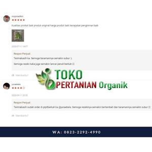 Jual PUPUK BOOSTER ANGGUR BANANA - Pupuk Anggur Masa vegetatif - Pupuk ...