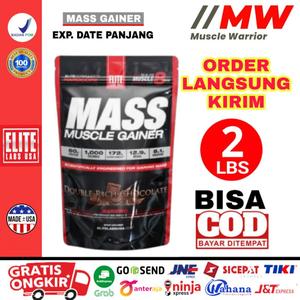 Jual Elitelabs Mass Muscle Gainer 2 Lbs Elite Labs Gainer 2 Lb ...