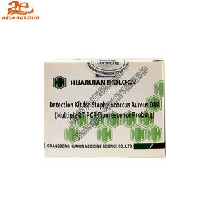 Jual AELAB Detection Kit for Staphylococcus Aureus DNA pcr diagnostic ...