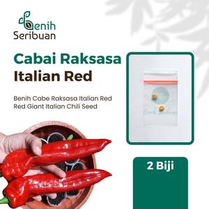 Promo 2 Bibit Cabe Raksasa Sweet Italian Red Benih Cabai Giant Pepper ...