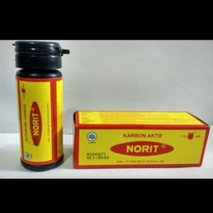 Jual NORIT cap lang obat diare botol isi 40 pil Limited - Jakarta ...