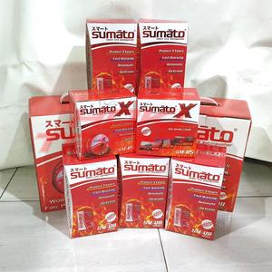 Jual APAR Alat Pemadam Api Ringan Mobil Panel Listrik Sumato Japan SM ...