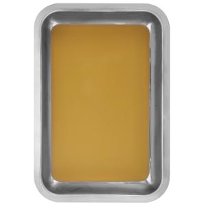 Jual Anatomy Tray Dissection Stainless Wax Steel Dissecting Plate ...