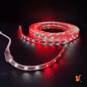 Jual New Stok Paket 10-20 Meter Led Strip Lampu Dekorasi 17 Agustus ...