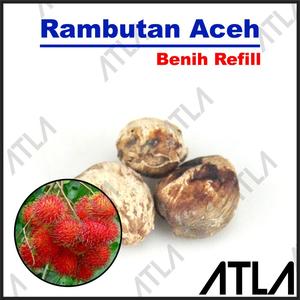 Jual Benih Rambutan Aceh Biji Buah Bibit Tanaman Pohon Refill - Jakarta ...