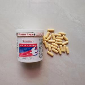 Jual Muscle Power isi 150kapsul - Jakarta Utara - Birds Store 99 ...