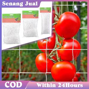 Jual 5m 10m 20m Jaring Tanaman Rambat Siap Pakai Jaring Buat Tanaman ...