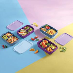 Jual TUPPERWARE Cool Teen Lunch Box Kotak Bekal [A08] - 1pc-ungu ...