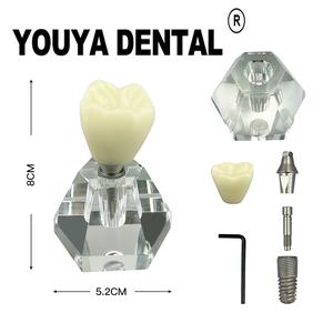 Jual 4 Times Implant Model Dental Single Tooth Crown Base Teaching ...