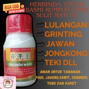 Jual HERBISIDA SHASHOUWANG MERAH\shashou wang MERAH KHUSUS UNTUK ...
