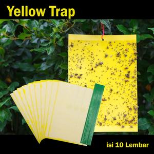Jual Yellow Trap / Perangkap Hama / Lem Kuning perangkap hama isi 10 ...