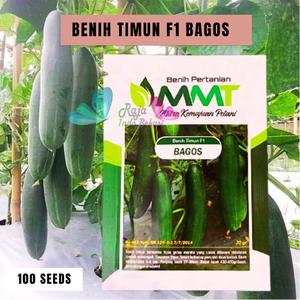 Jual Biji Benih TIMUN F1 BAGOS MMT 20 gr Seed - Kemasan 100 Bibit ...