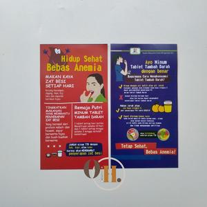 Jual Flyer Hidup Bebas Tanpa Anemia - Flyer Cara Minum Tablet Tambah ...