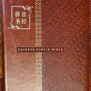 Jual Alkitab Chinese Pin Yin / Mandarin Pin yin Bible / 中文拼音圣经 ...